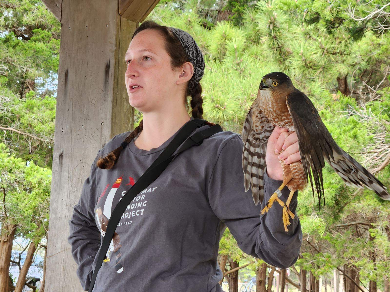 2023 Annual Report – Cape May Raptor Banding Project, Inc.
